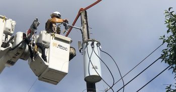 Squirrel guard attachment keeps power flowing, animals alive