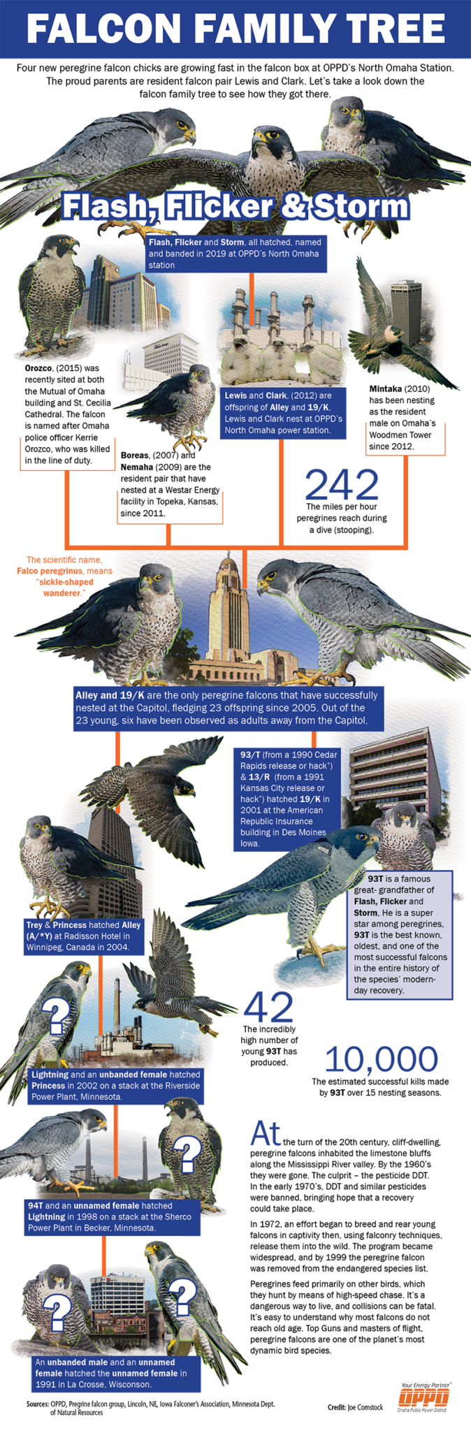 Peregrine falcon chicks get their bands, need names - OPPD - The Wire