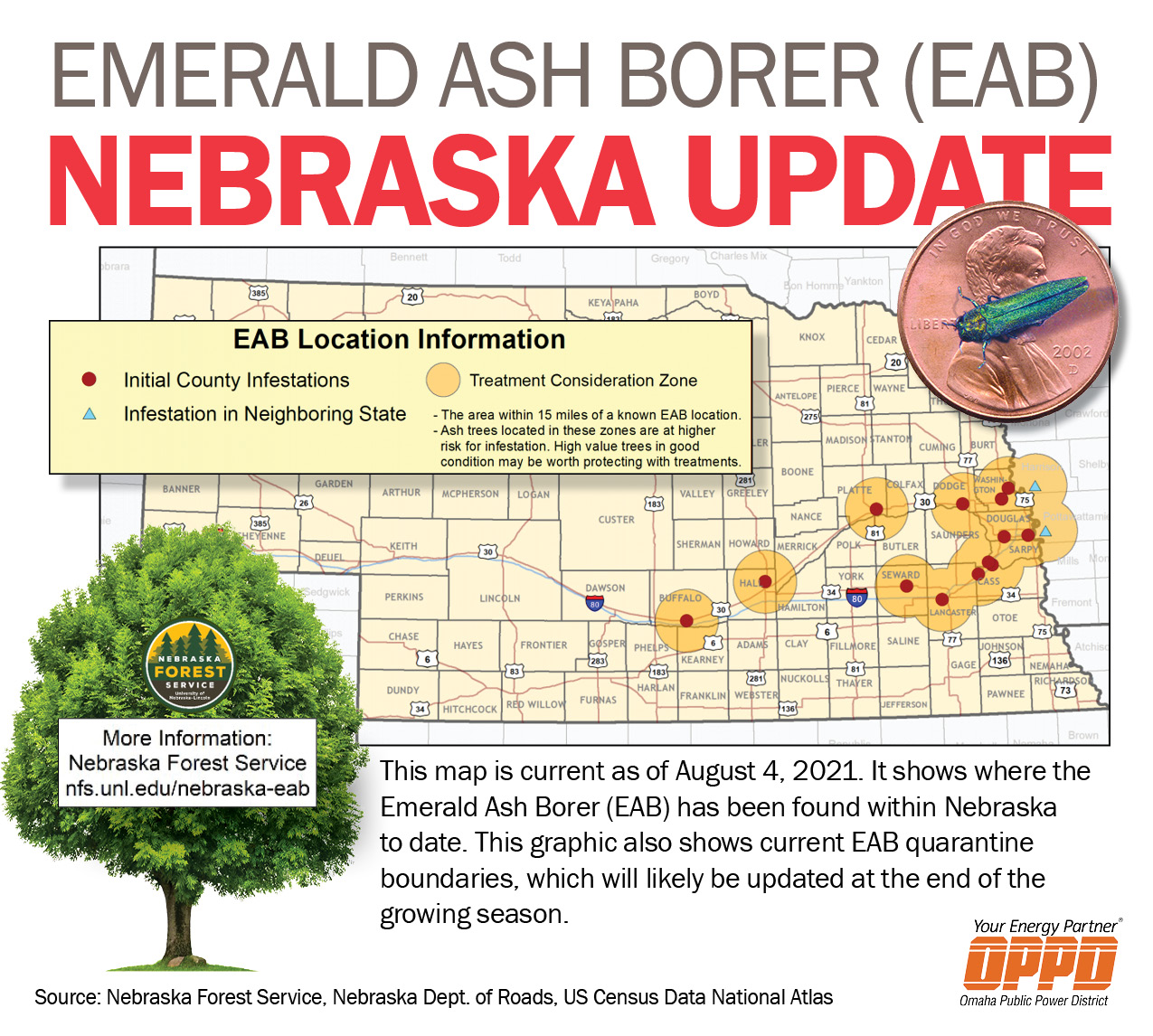 Emerald ash borer threat continues in Nebraska - OPPD - The Wire