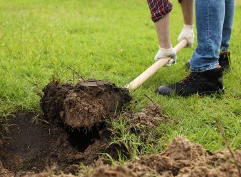 Planning to dig? Be sure to call 811 first - The Wire