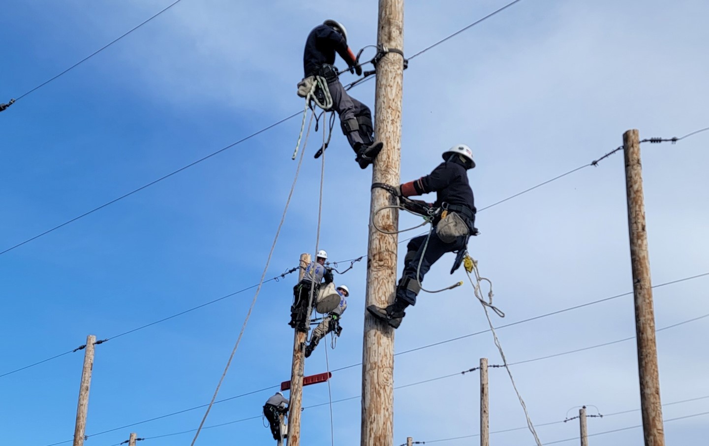 OPPD lineworkers show off their skills at rodeo - OPPD - The Wire