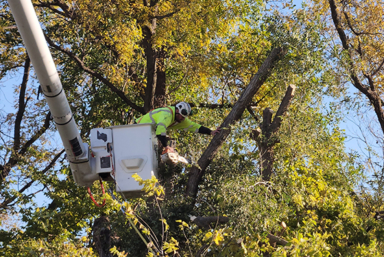 Helping Habitat for Humanity with a new neighborhood - The Wire